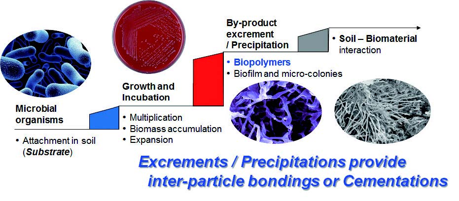 Research Achievements | Department of Infrastructure Safety Research ...