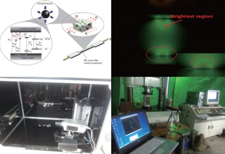 Development of Patch/Implant System Based on IT Technology for the Safe ...